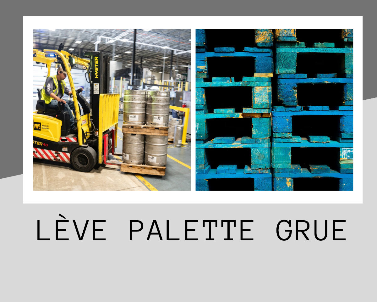 Lève palette grue: definition, types et caractéristiques